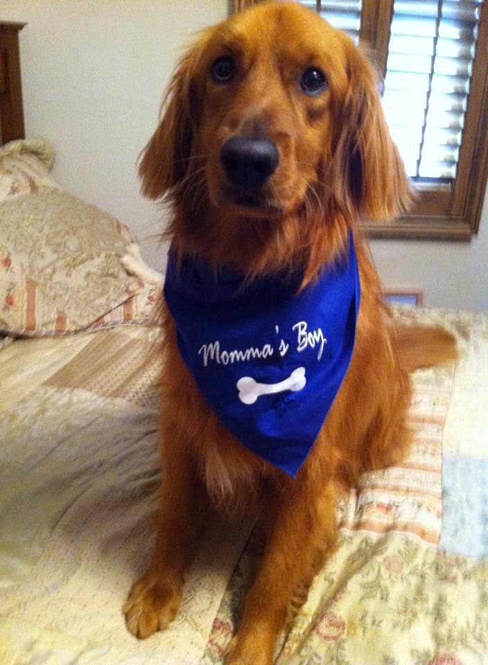 I hate labels – Jill Schilp Writes